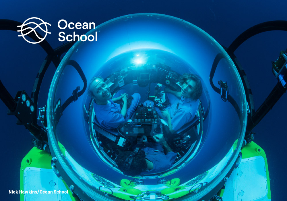 Dive into Ocean School! NFB, Dalhousie University, the Ocean Frontier ...